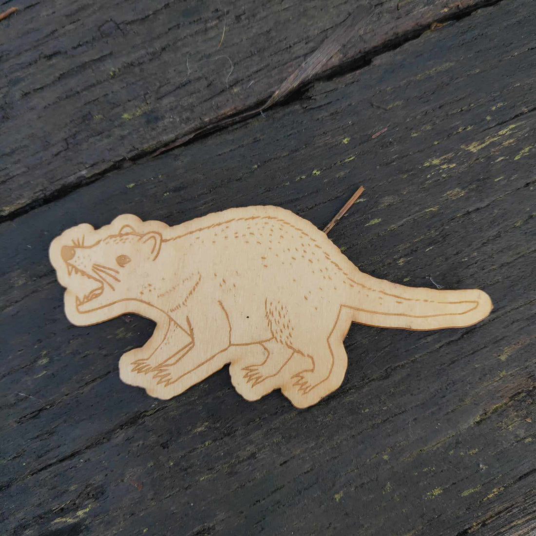 Tassie Devil – Nature Matrix